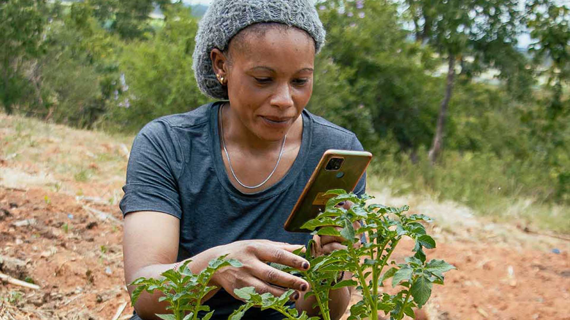 Revolutionizing Agriculture: How Digital Content is Empowering Smallholder Farmers in Kenya - ACWICT