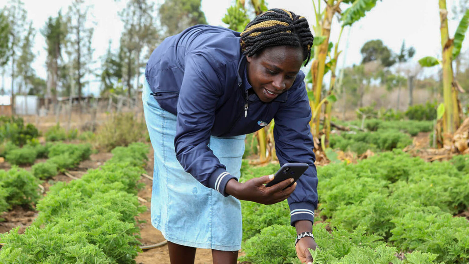 Agriculture and Food Security – ACWICT