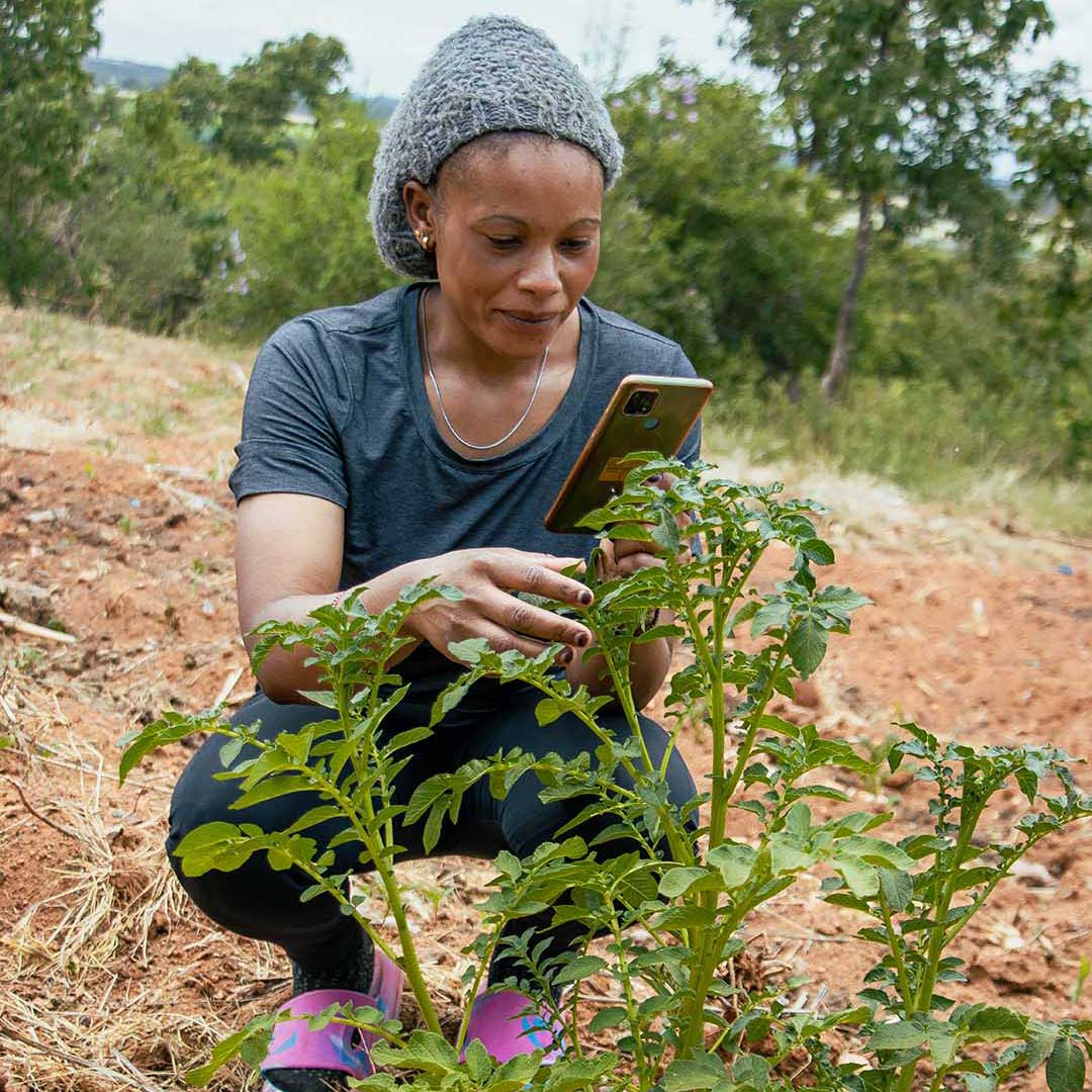 Digital Services In Agriculture II - ACWICT