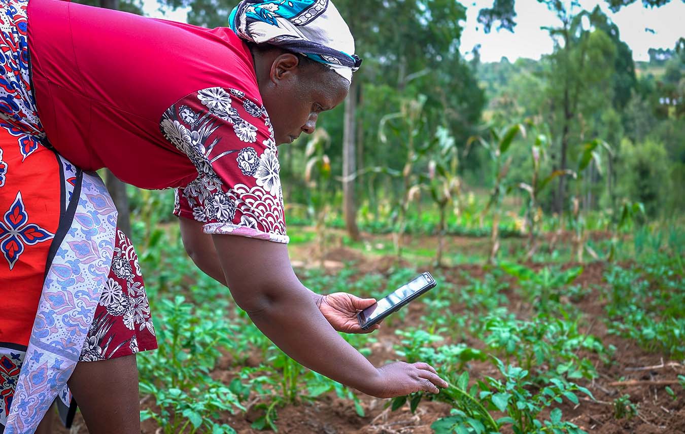 Digital Services In Agriculture – III - ACWICT